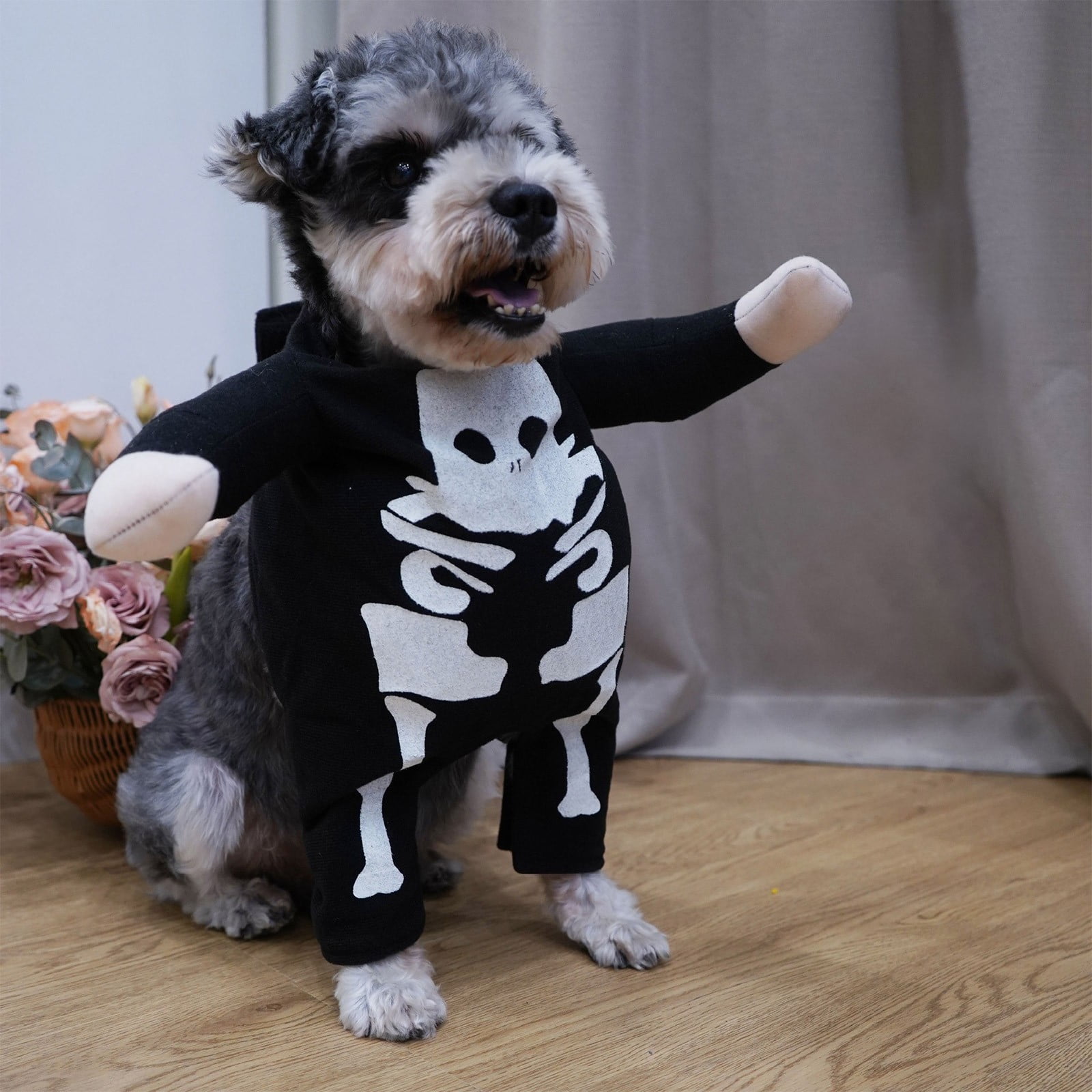 kladzum Halloween Dog Costume Halloween Skull Transformation Clothes ...