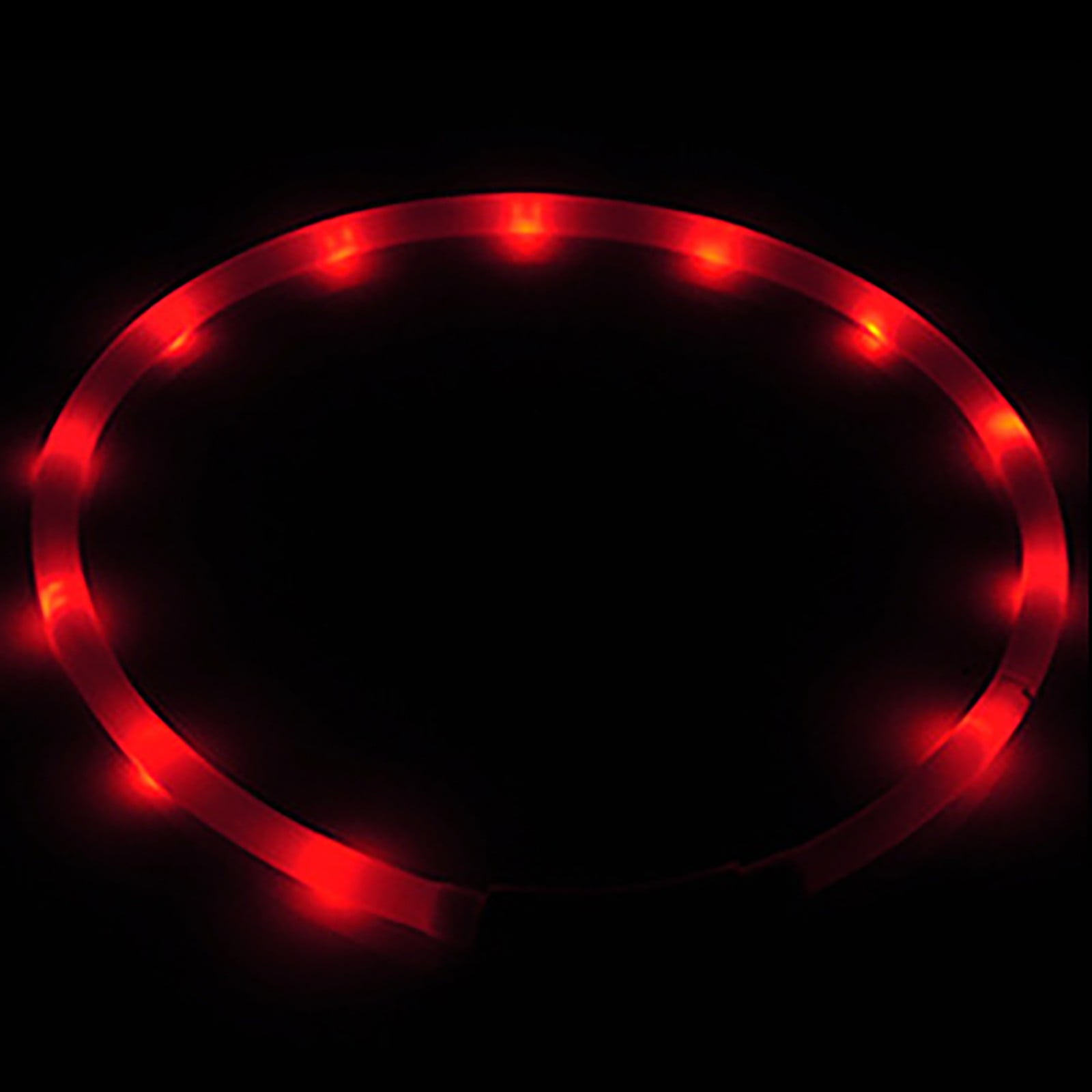 Djunllk LED Dog Collar, Light Up Dog Collars, LED Luminous Collar USB ...