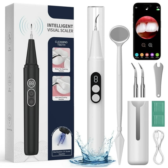 Dental Tools Remove Plaque