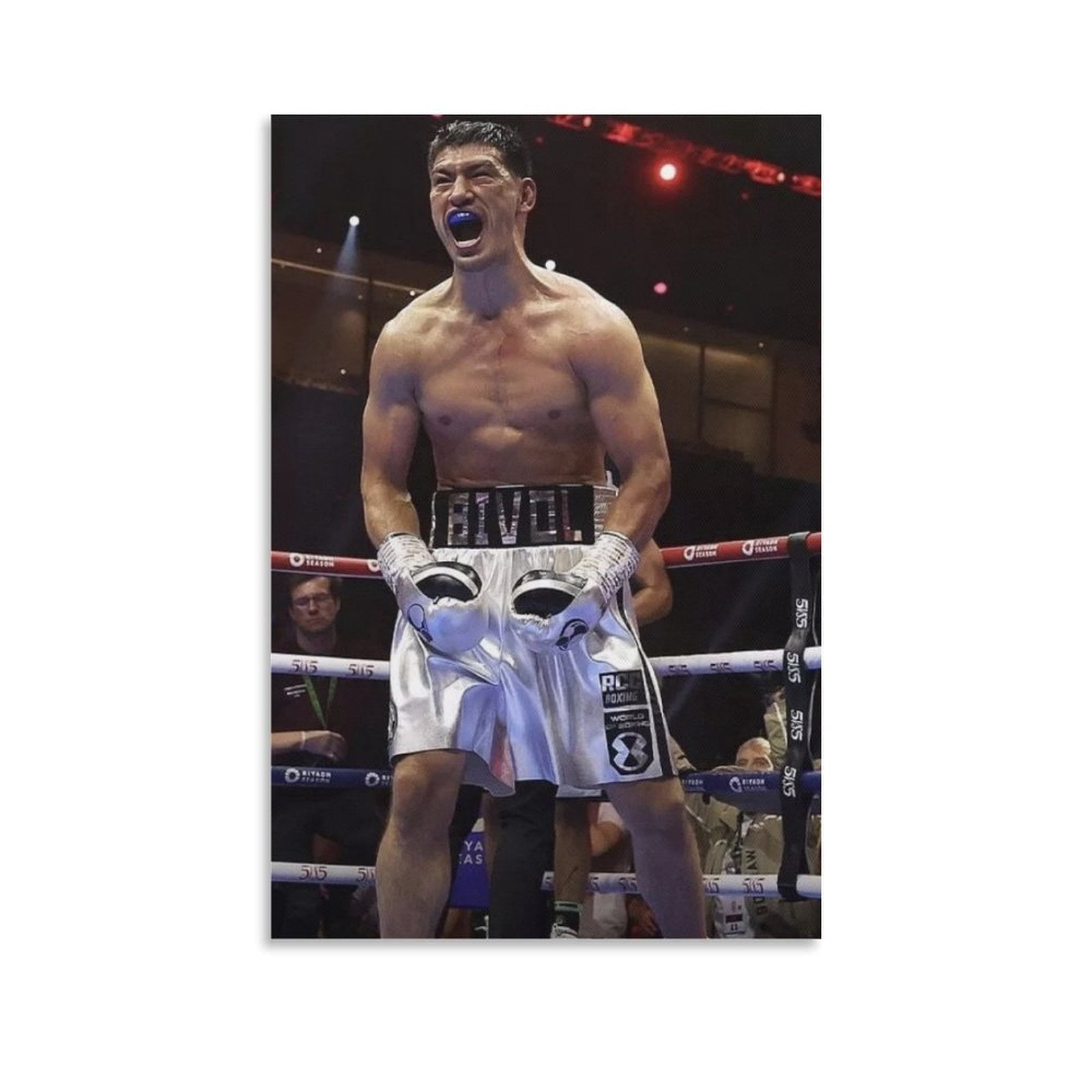 Dmitry Bivol Canvas Poster Wall Art Poster Gifts Bedroom Prints Home ...
