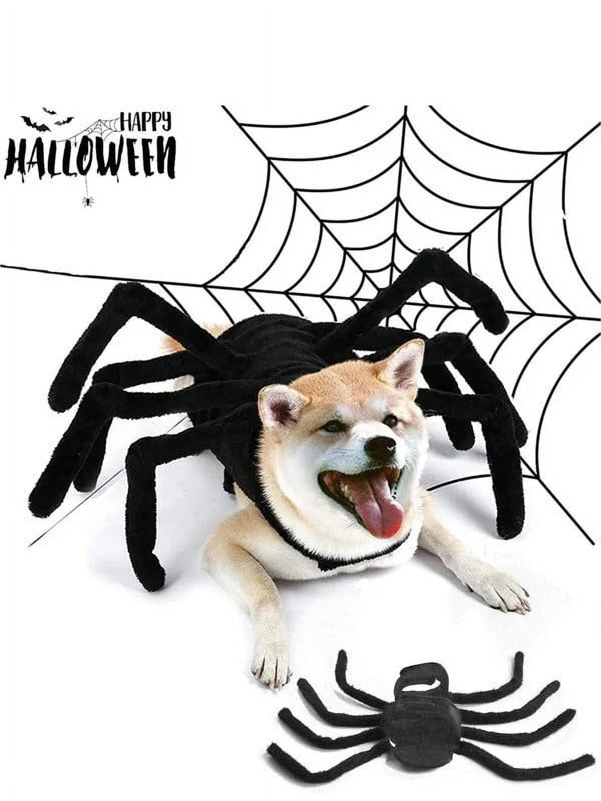 Dmlowu Halloween Decorations Spider Costume for Pet, Halloween Costumes ...