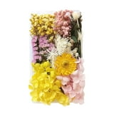 Dmlowu Real dried flowers Material Kit - Everlasting valentines flowers ...
