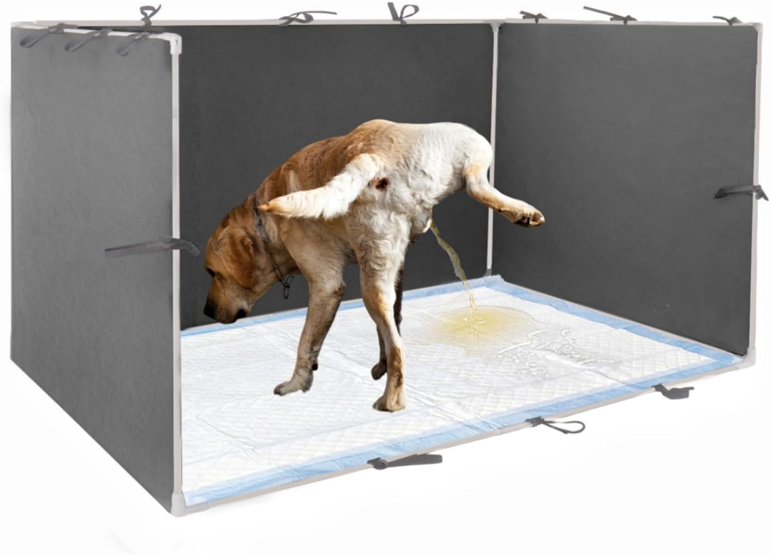 Dmnnlp Dog Pee Pad Holder with High Walls - 35"x29"x17.3" No-Splash ...