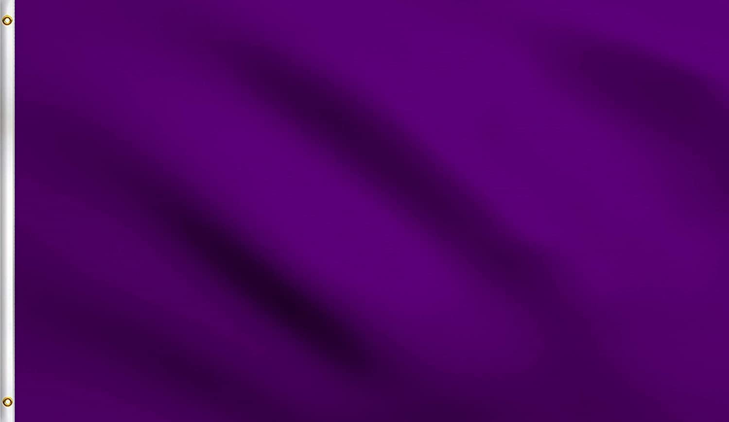 Dmse Purple Solid Blank Flag 3X5 Ft Foot Flag Uv Resistant (3X5 Nylon ...