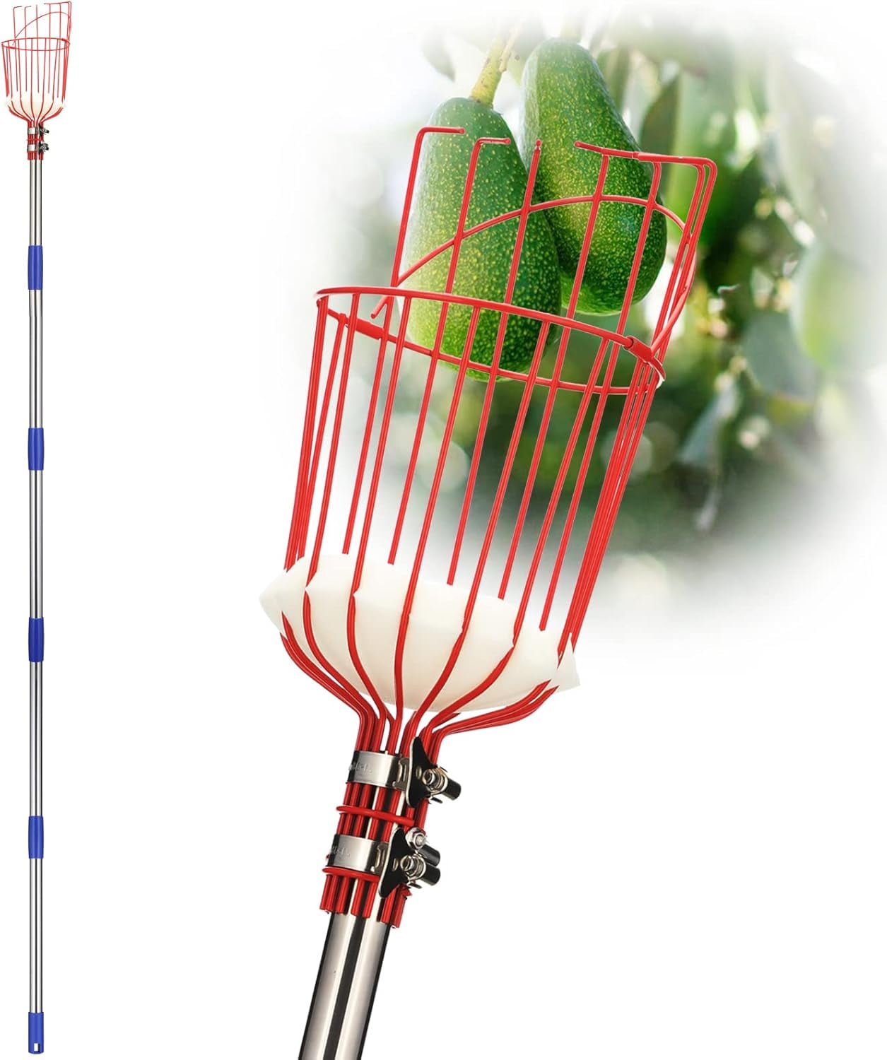 DnSail Fruit Picker Pole Tool with Basket Telescoping - Adjustable ...