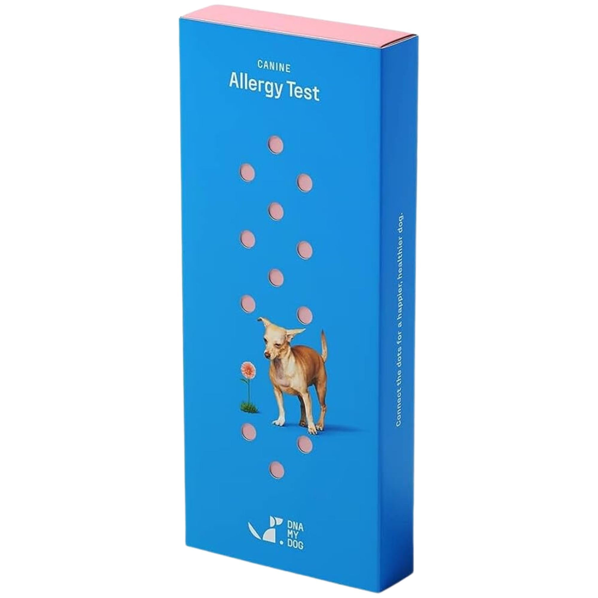 Dna My Dog - Canine Allergy Test | Analysis of Allergens | Not a Fur ...