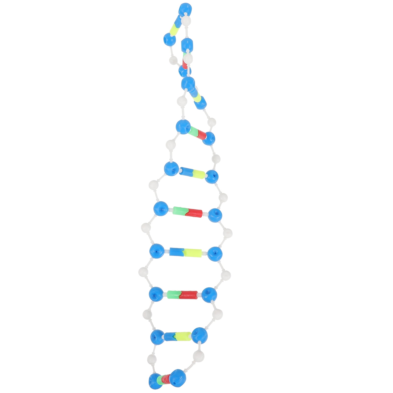 Dna Double Helix Model Components Learning Tool Models Teaching ...