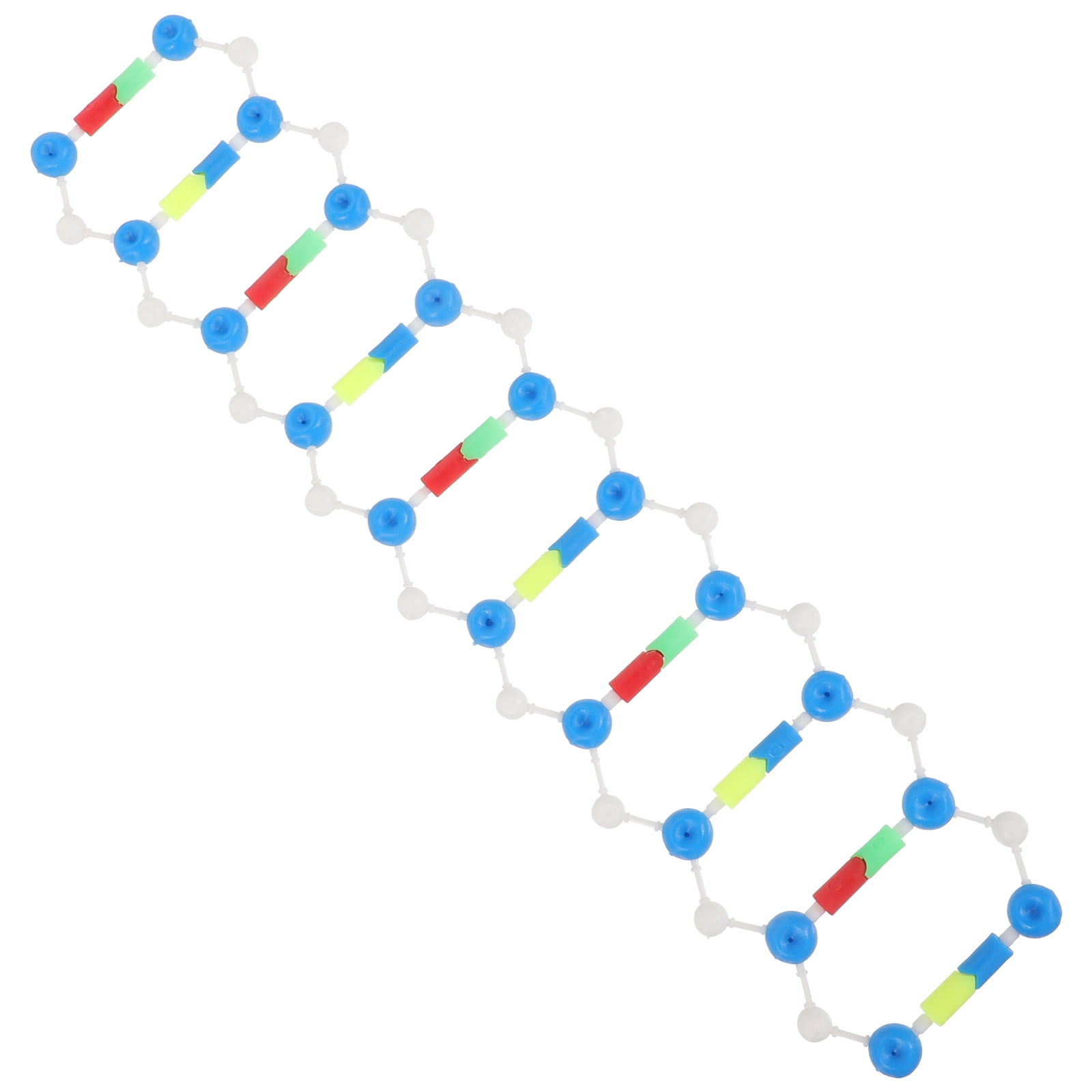 Dna Double Helix Model Components Teaching Engine Science Models ...