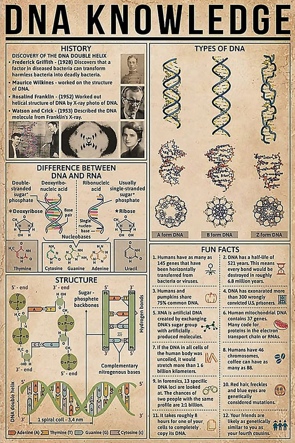 Dna Knowledge Metal Signs Wall Decor Poster Biomedical Science Posters ...