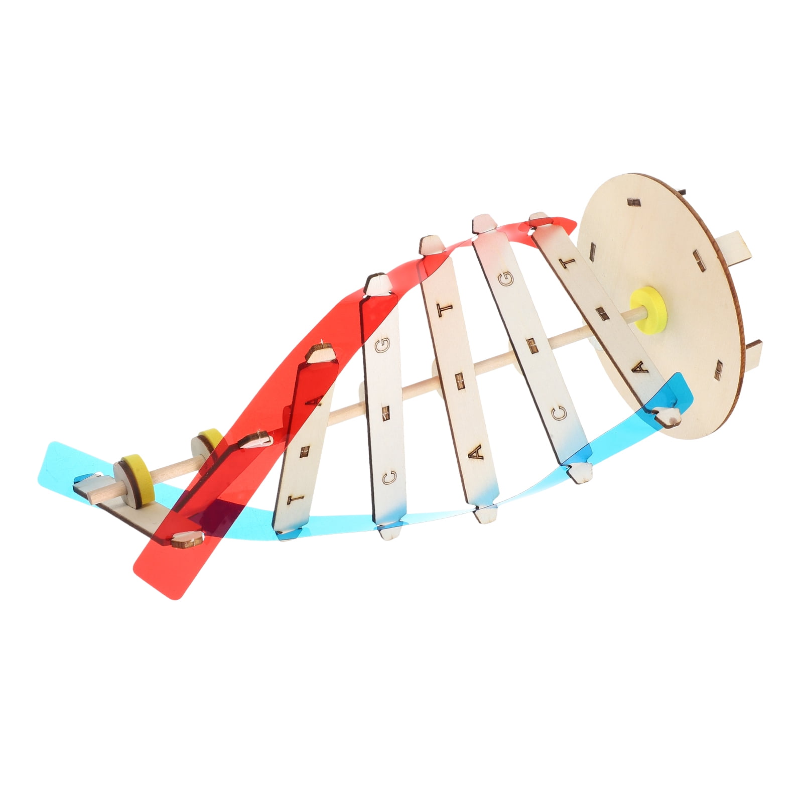 Dna Model Dna Double Helix Model Scientific Learning Plaything ...