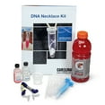 Walmart DNA Necklace Lab Kit, Molecular Science Project, Build Your Own ...