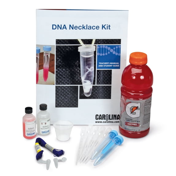 Walmart DNA Necklace Lab Kit, Molecular Science Project, Build Your Own ...
