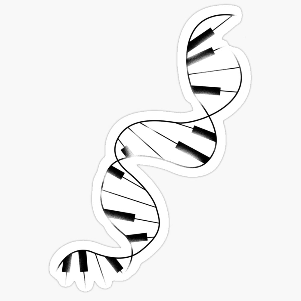 Dna Piano Sticker Phone Decal Water Bottle Stickers Car Decals, Laptop ...