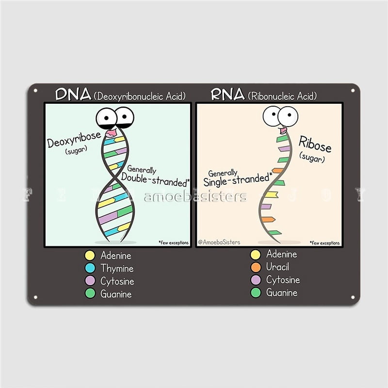 Dna Vs Rna Metal Sign Wall Plaque Create Garage Club Wall Pub Tin Sign ...