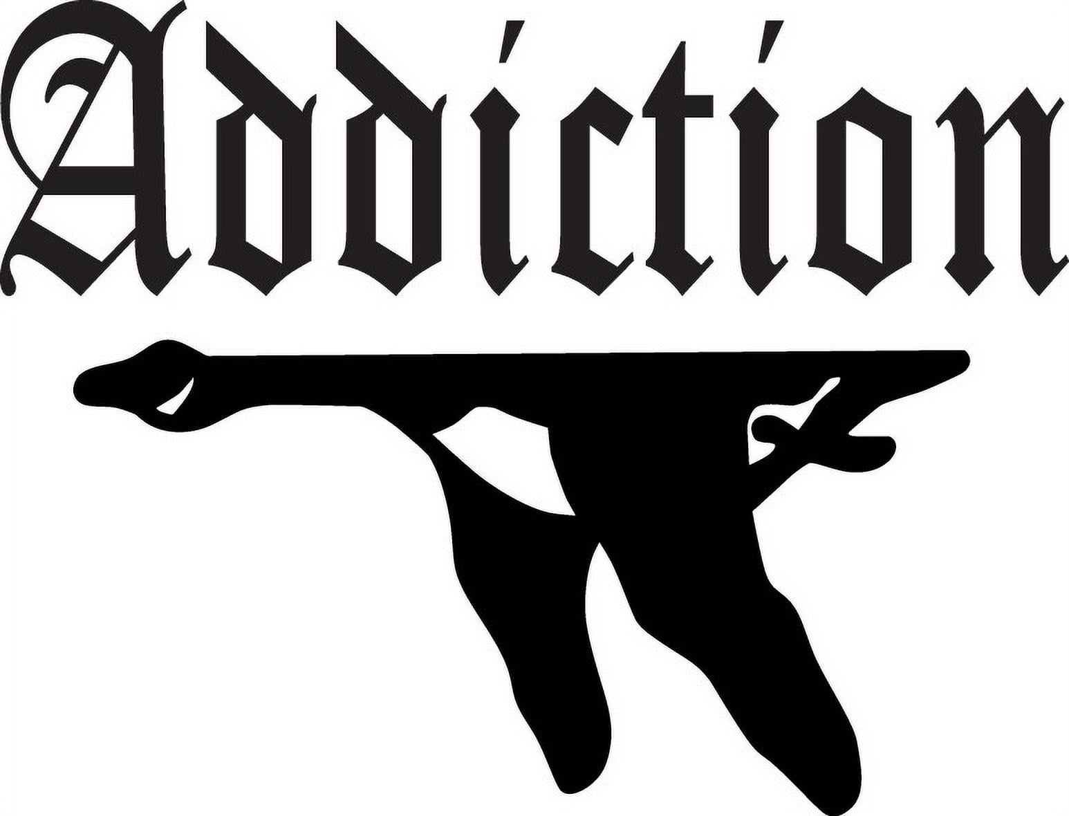 Do It Yourself Wall Decal Sticker Addiction Boys Bedroom size: 16 X24 ...