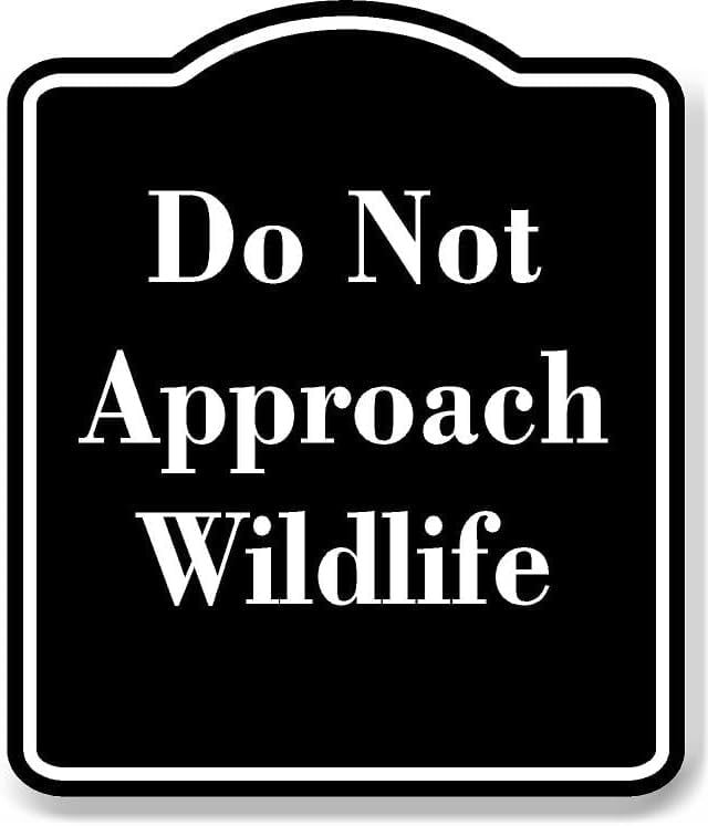 Do Not Approach Wildlife BLACK Aluminum Composite Sign 15''x18 ...