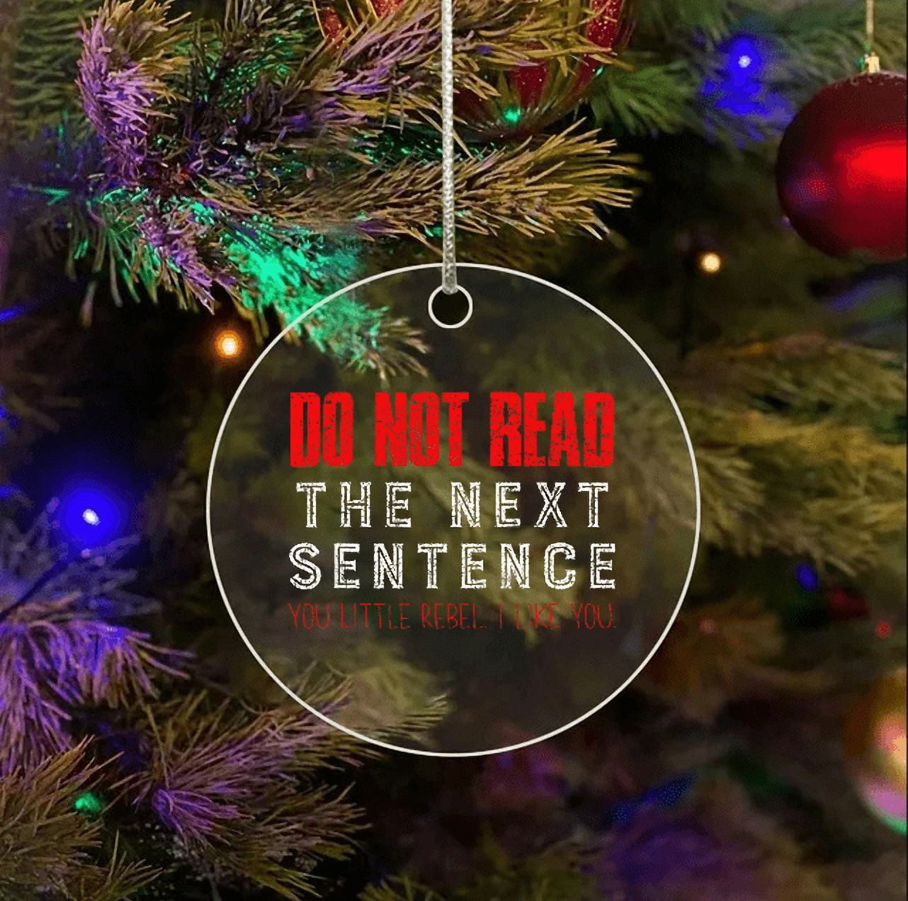 Do Not Read The Next Sentence Reading Ornament, Home Decoration, Circle ...