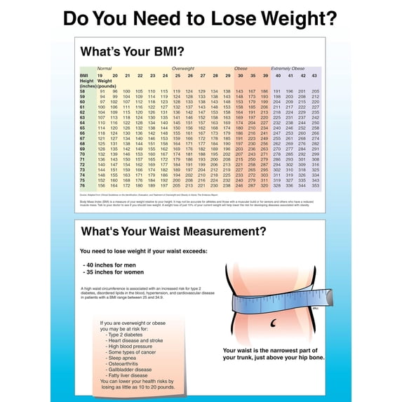 Do You Need To Lose Weight? Poster - BMI and Waist Measurement ...