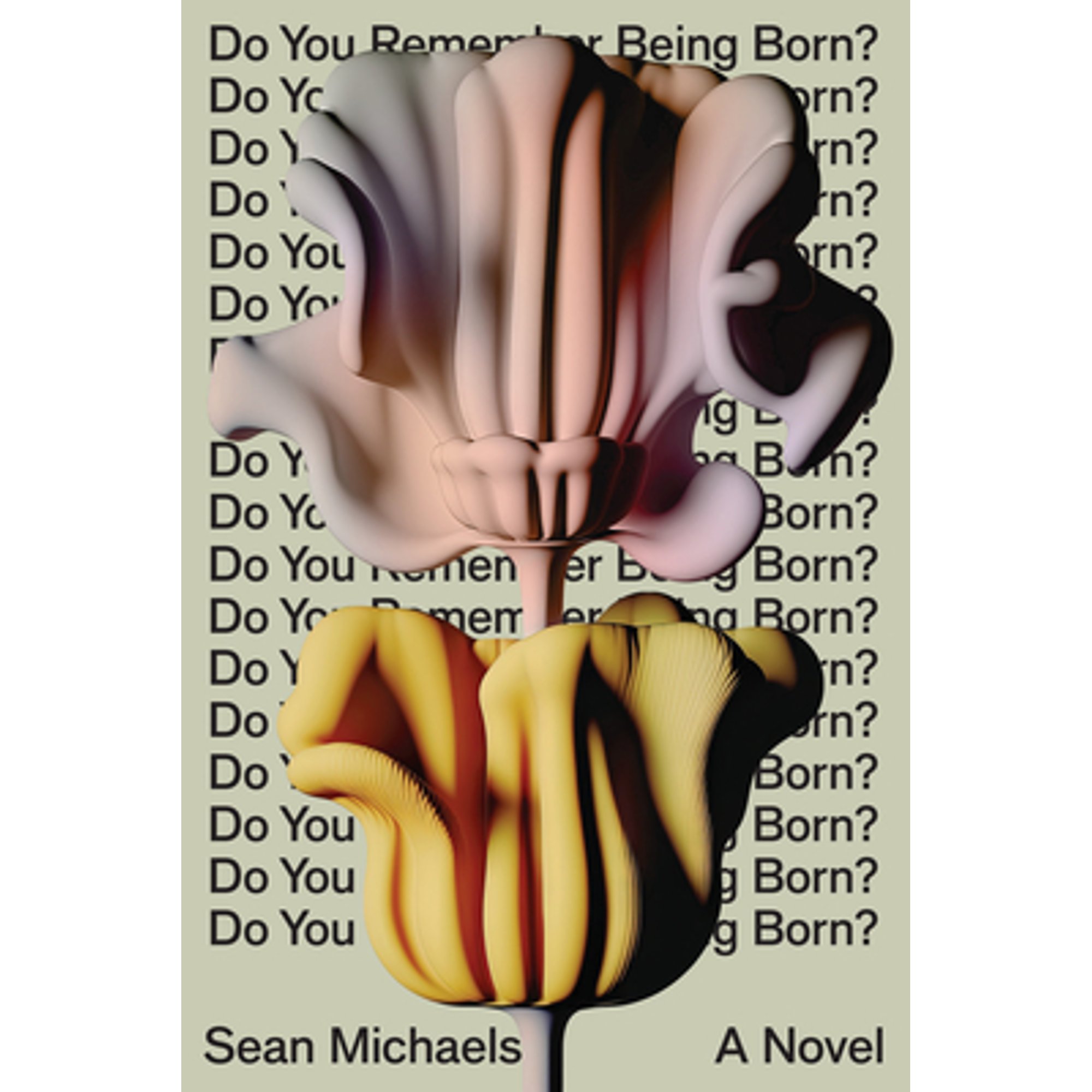 Pre-Owned Do You Remember Being Born? (Hardcover) by Sean Michaels ...