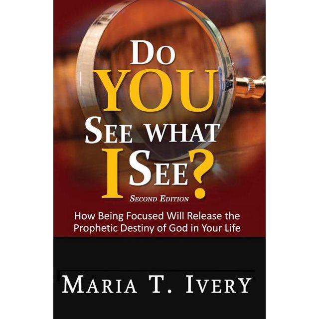 Do You See What I See? (Paperback) - Walmart.com