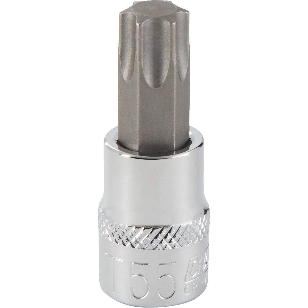 T55 Torx Bit
