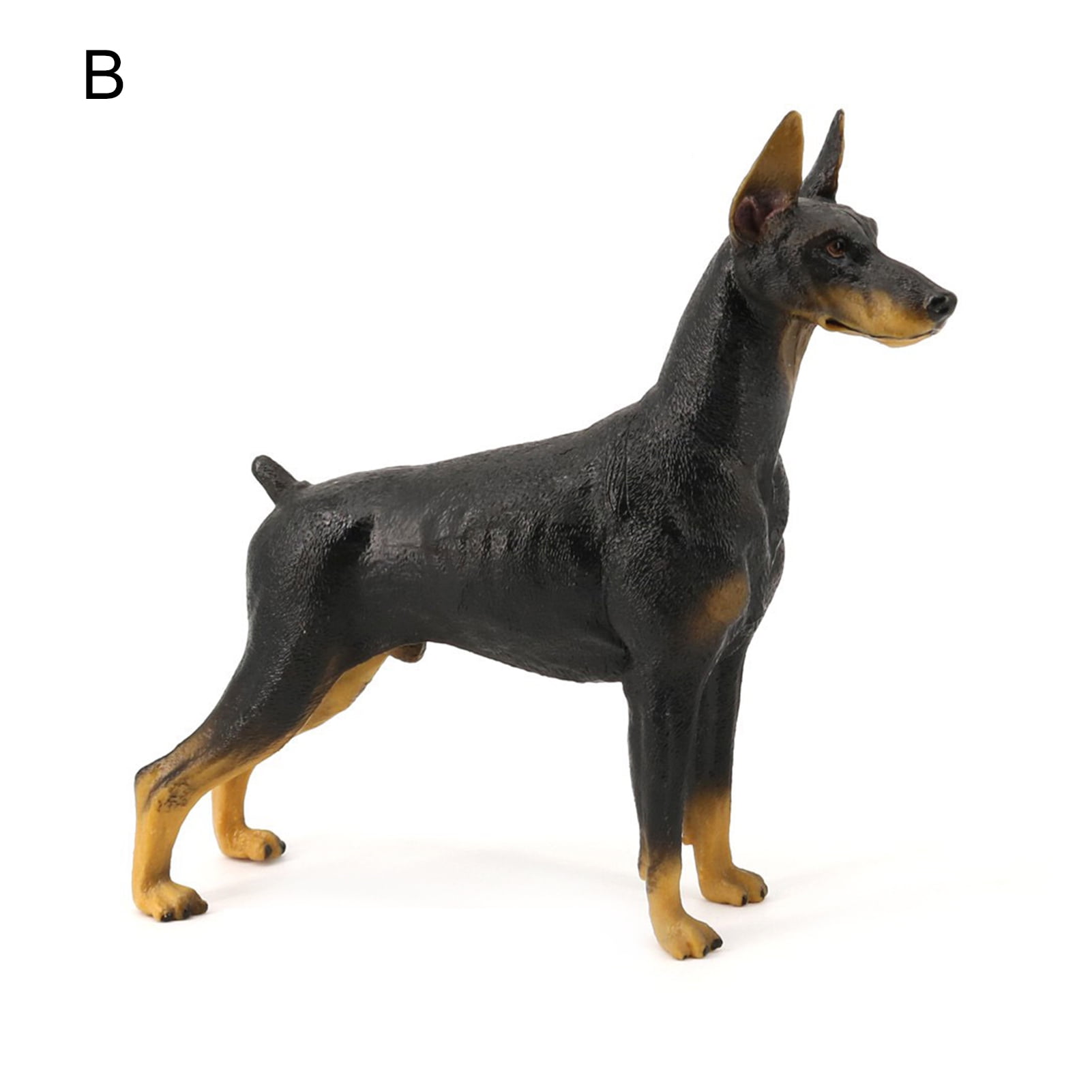 Doberman Pinscher Model Cognitive Ability Burrs-free Smell-less Action ...