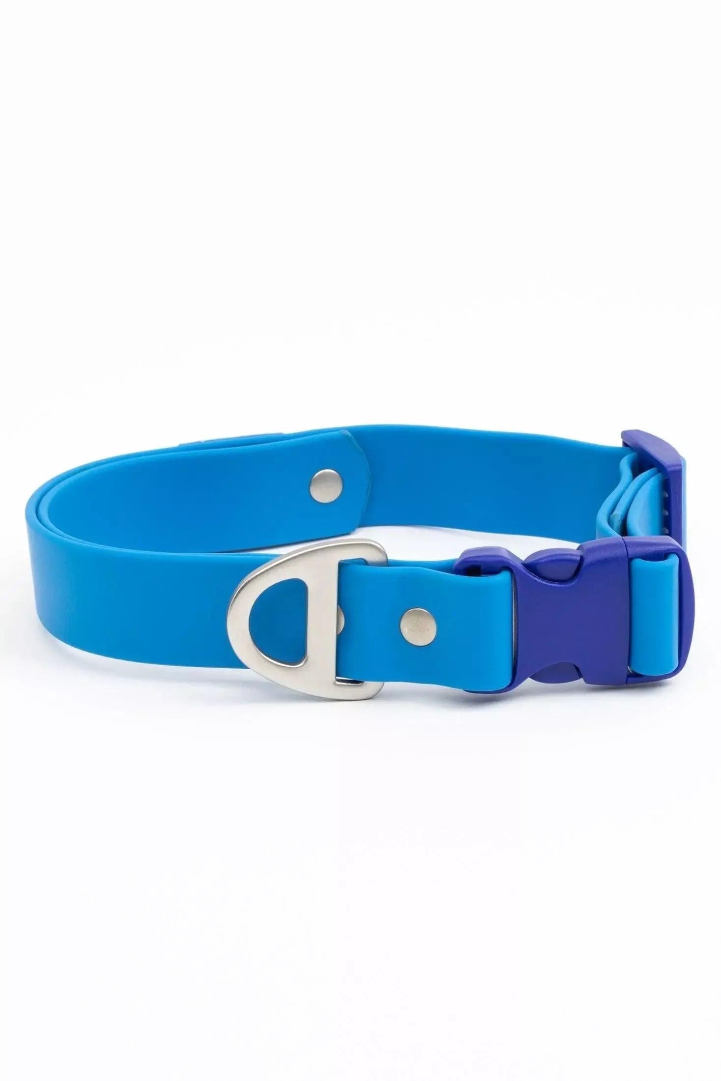 Aria the Fox Dockside Adventures Waterproof Dog Collar, 20 - 26 Inch ...