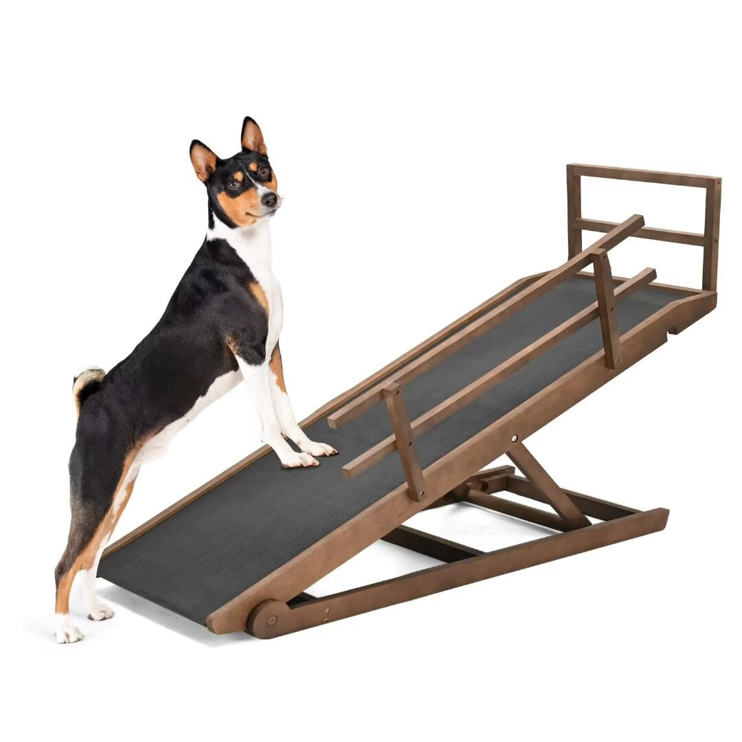 "Docred Adjustable Folding Dog Ramp for Bed, Couch, SUV - Portable ...