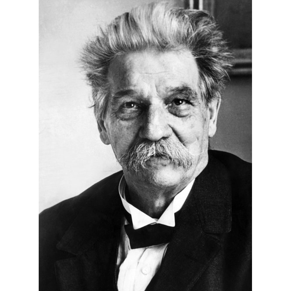 Doctor Albert Schweitzer (1875-1965) History (18 x 24) - Walmart.com