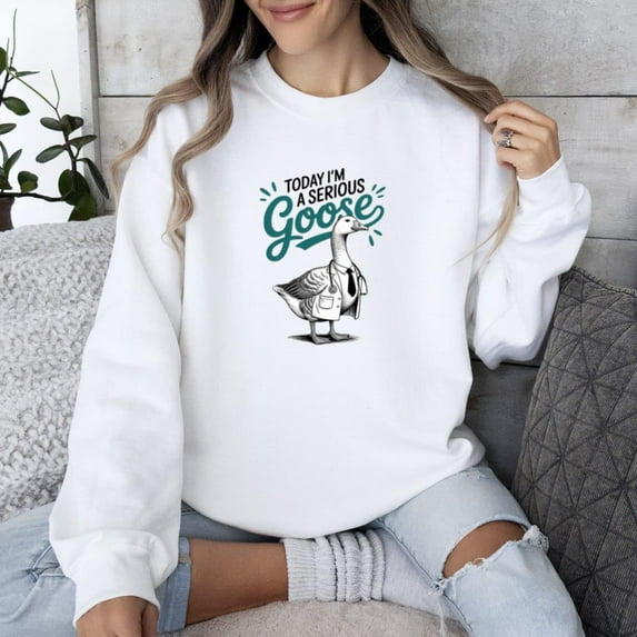 Doctor Goose Today I Am A Serious Goose Funny Meme Sweatshirt, up to ...