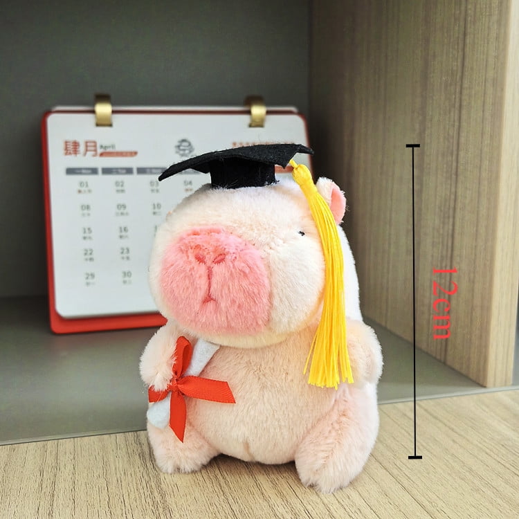 Doctor Hat Capybara Plush Toy Graduate Plush Dolls Cute Stuffed Animal ...
