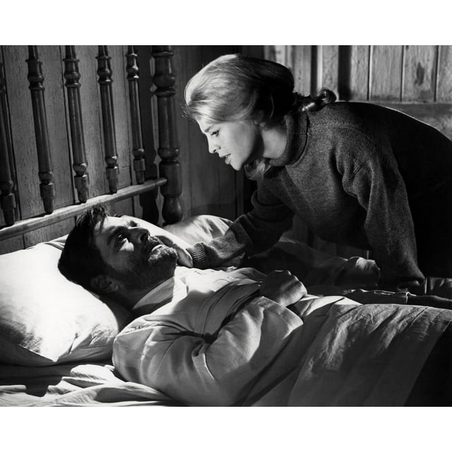 Doctor Zhivago 24X36 Classic Hollywood Poster Julie Christie Rod Steiger - Walmart.com