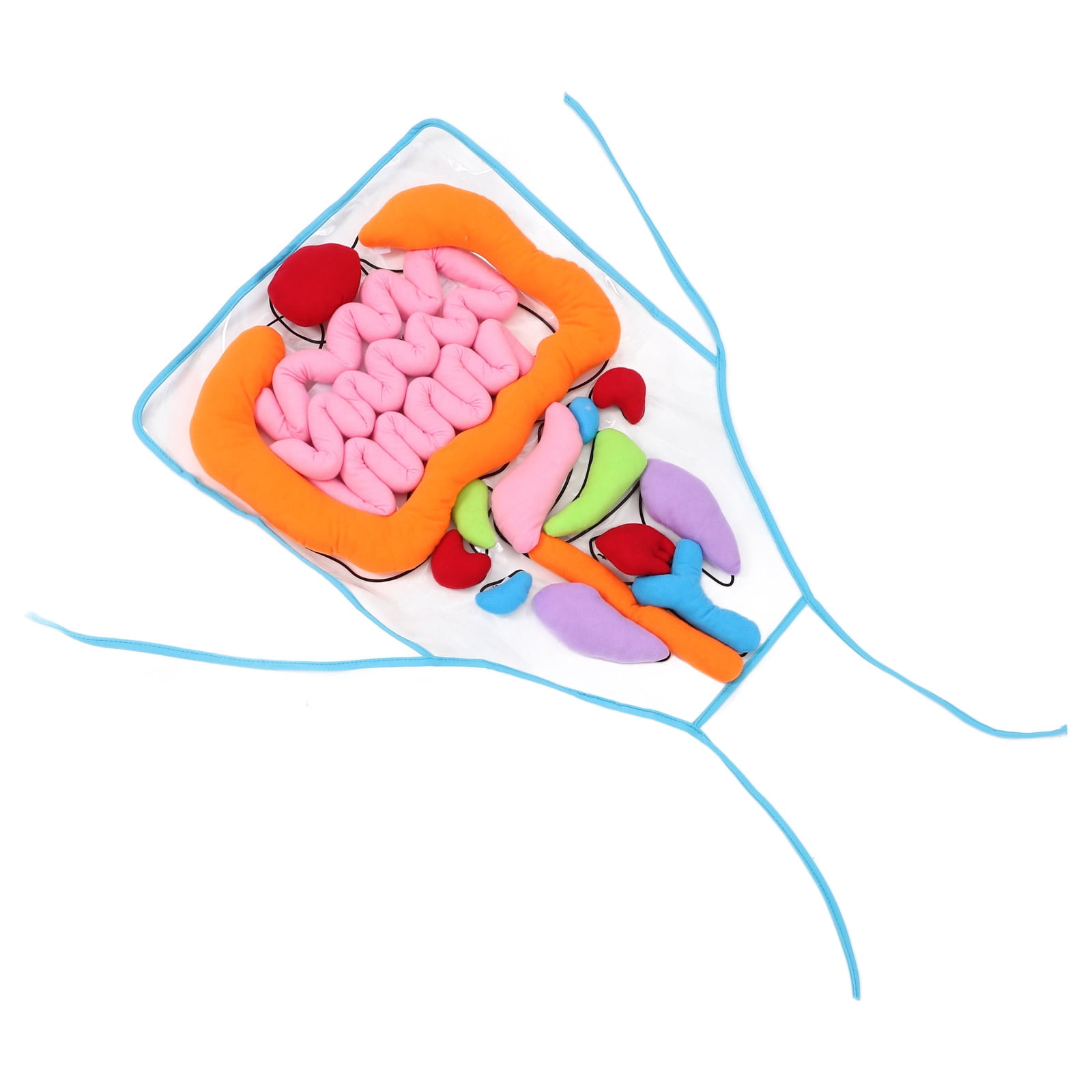 Doctors Apron Educational Science Kits Organ Preschool - Walmart.com