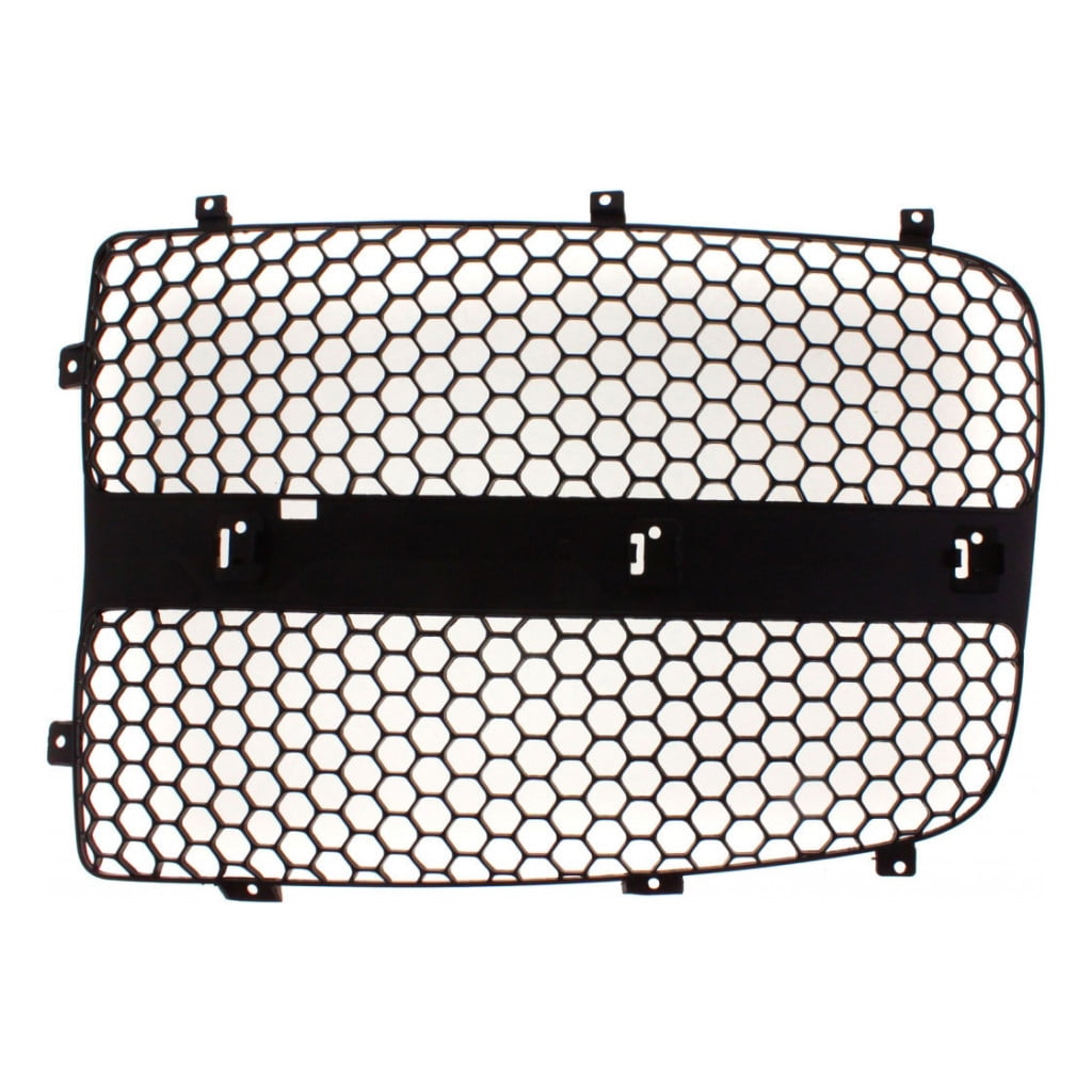 For Dodge Ram 1500 2002 2003 2004 2005 Grille Insert Driver Side ...