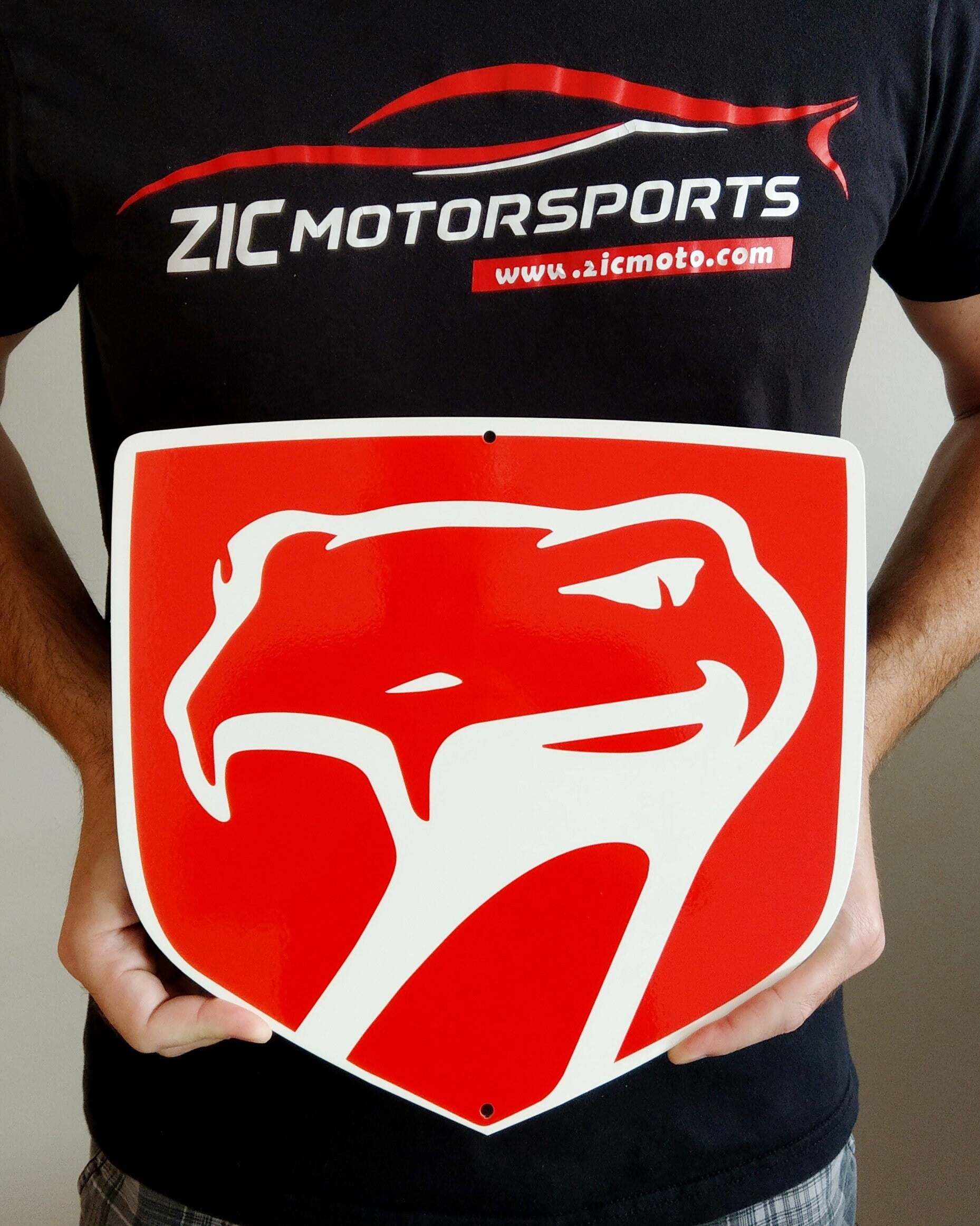 Dodge Viper Sneaky Pete Steel Sign - Walmart.com