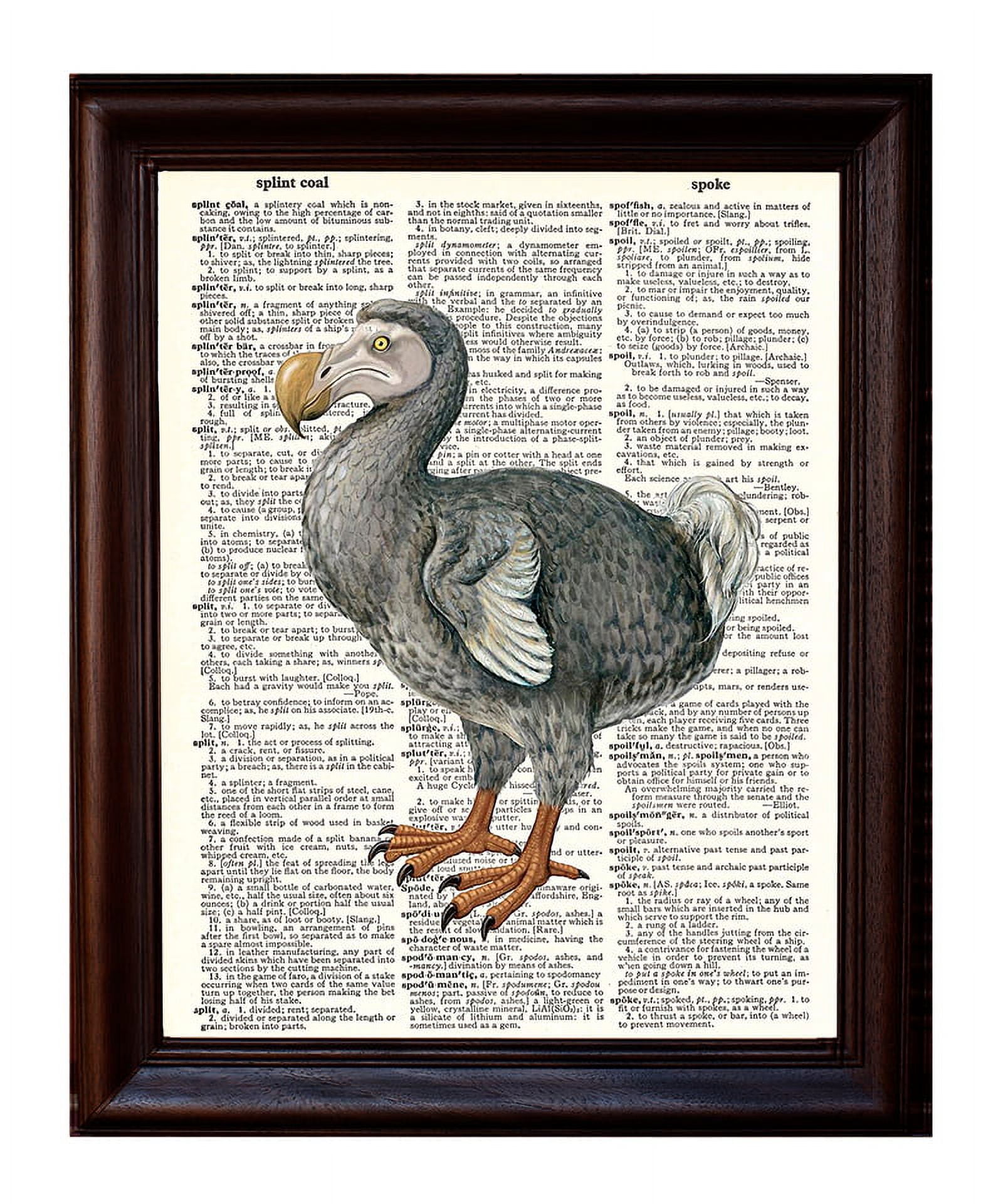 Dodo Bird - Dictionary Art Print Printed On Authentic Vintage ...