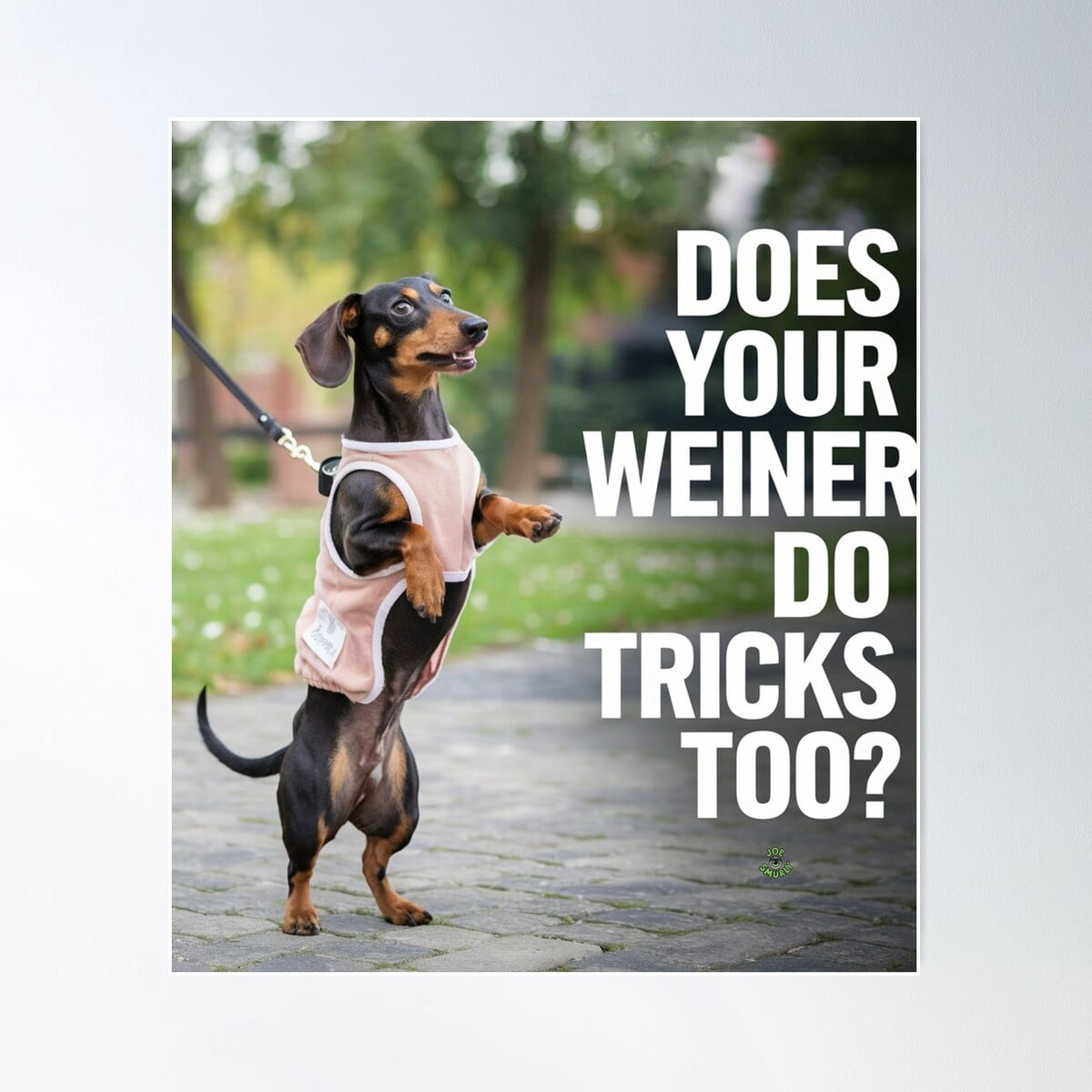 Does Your Weiner Do Tricks? Poster, 12x18 UNFRAMED - Walmart.com