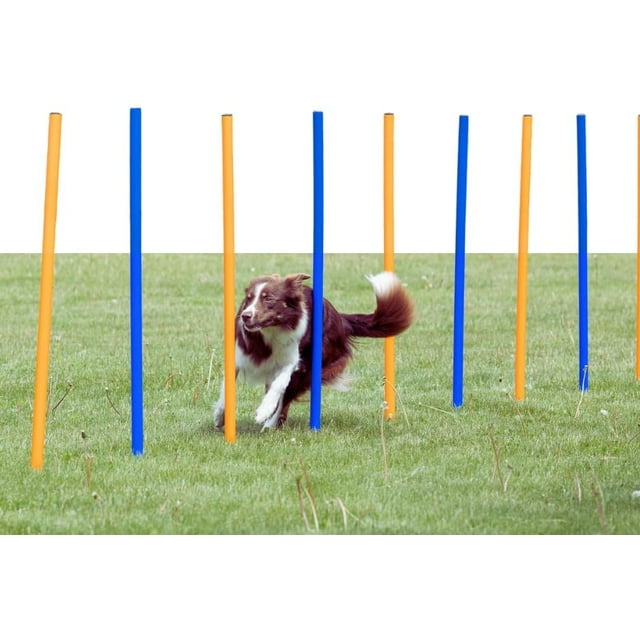 Dog Agility Course with 12 Slalom Weaves – Dog Weave Poles Ideal for ...