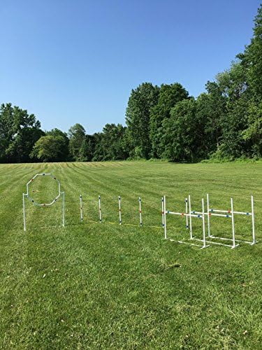 Dog Agility Equipment Deluxe Beginner Set, 3 Bar Jumps, 6 Weave Poles,1 ...