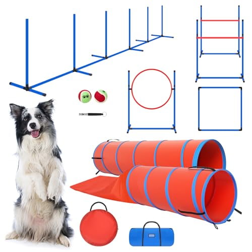 Dog Agility Training Equipment Set, Obstacle Courses Agility Training ...