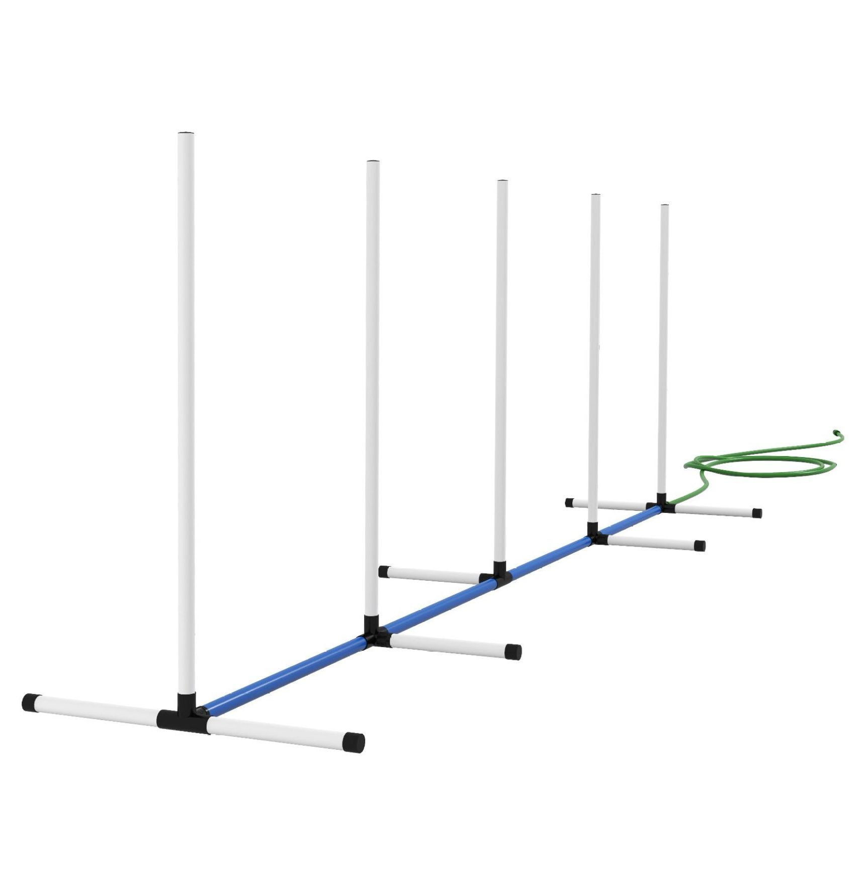 Dog Agility Training Set - Weave Poles, Water Spray Tube, Whistle & Bag ...