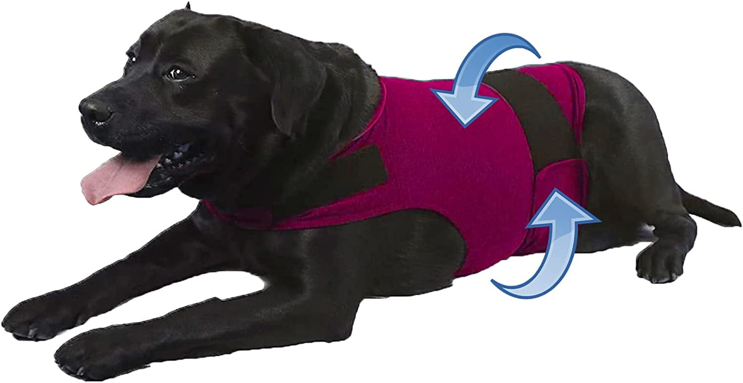 Dog Anxiety Jacket, Skin-Friendly Dog Calming Vest - Dog Shirt for ...