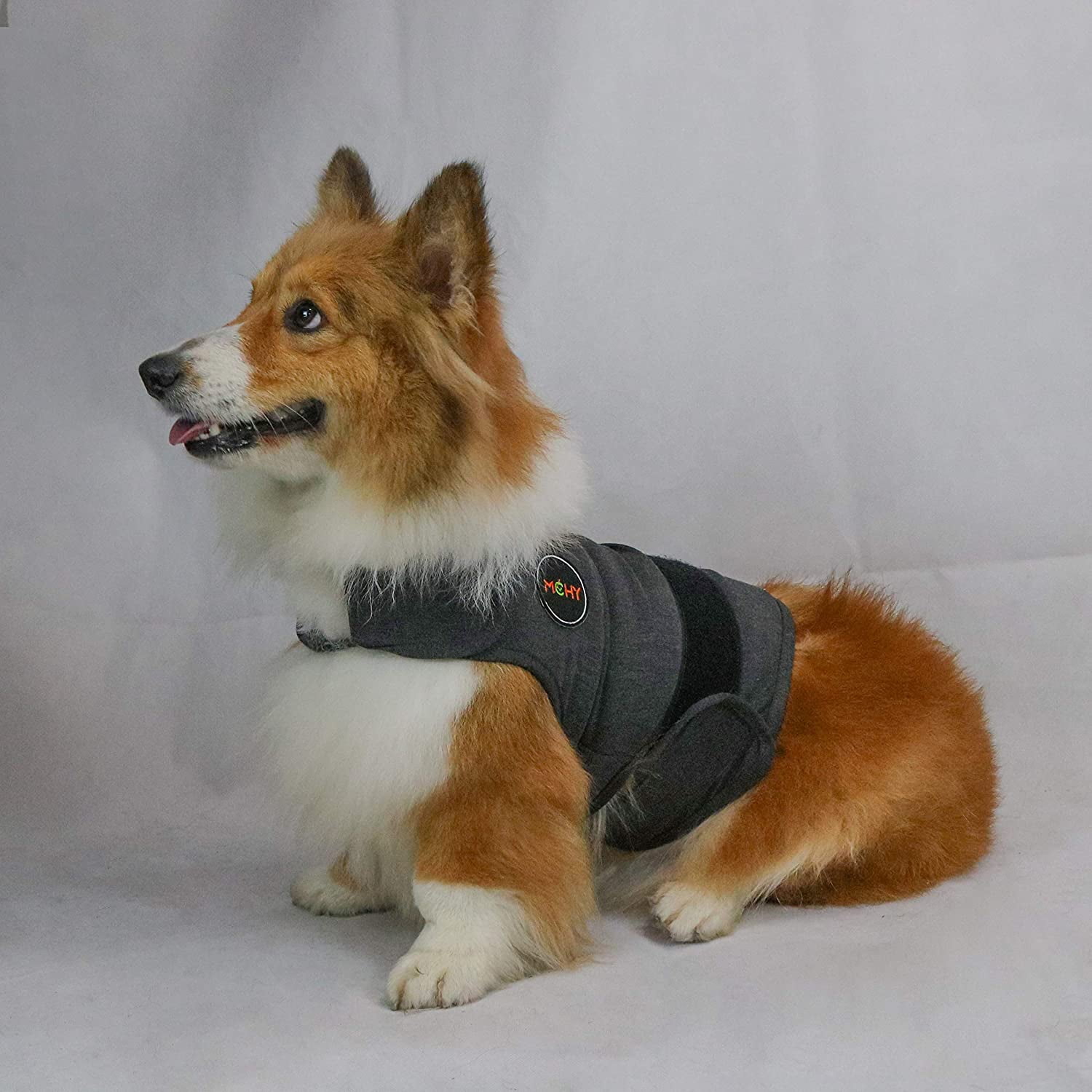 Dog Anxiety Vest, Anxiety Relief for Dogs, Dog Calming Coat (Grey M ...