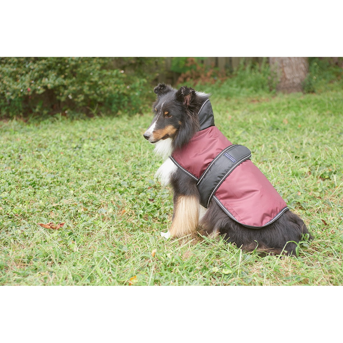 Dog Artic Coat-Burgundy Extra Small, Pk 1, Ethical Pets - Walmart.com