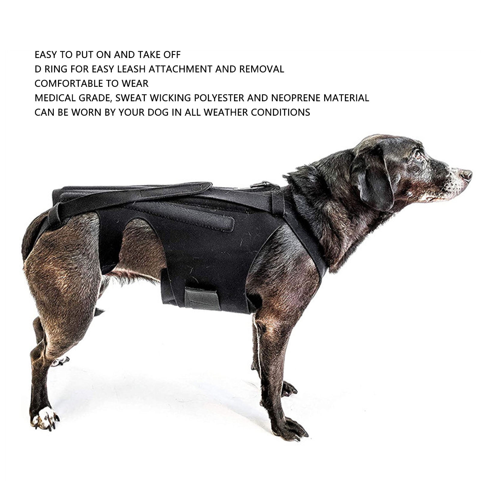 Dog Back Brace For Spinal Recovery, Adjustable Support For IVDD ...
