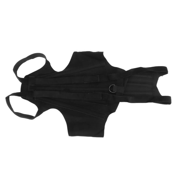 Dog Back Brace, Pet Hip Brace For Dogs With IVDD, , Spinal Surgical ...