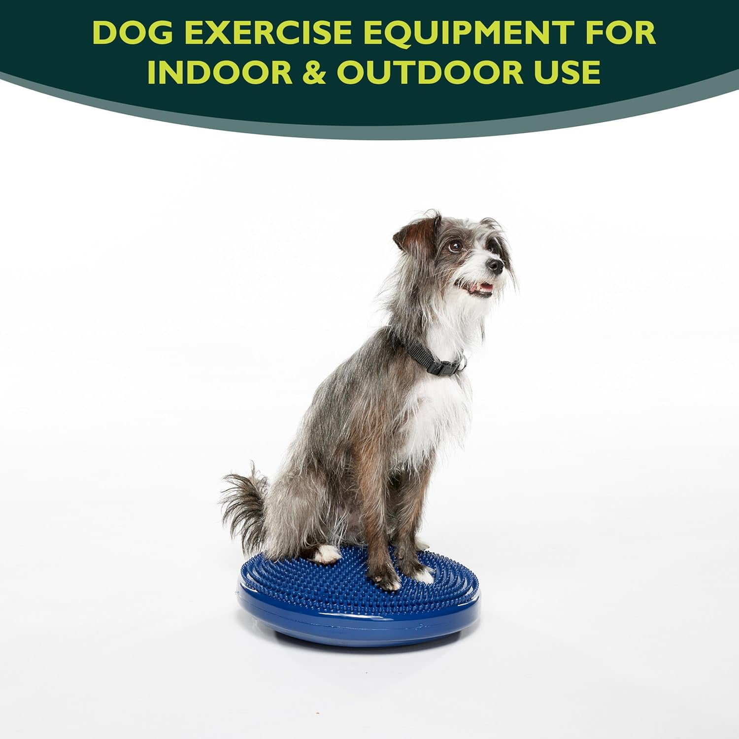 ® Dog Balance Disc – 14", Blue | Dog Exercise Equipment | Workout Tool ...