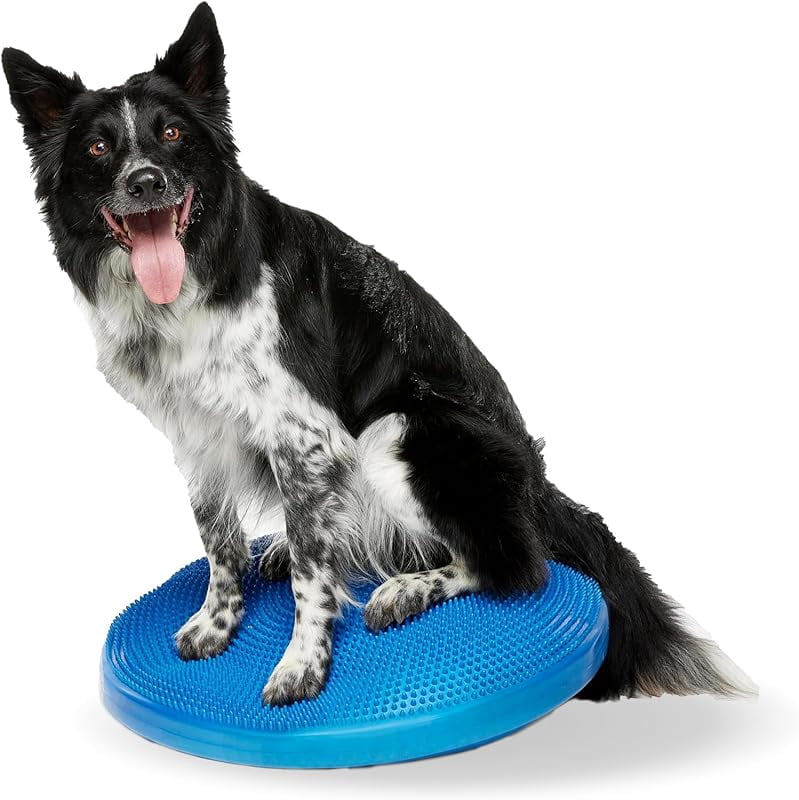 Dog Balance Disc -Blue, 22" | Dog Exercise Equipment | Workout Tool for ...