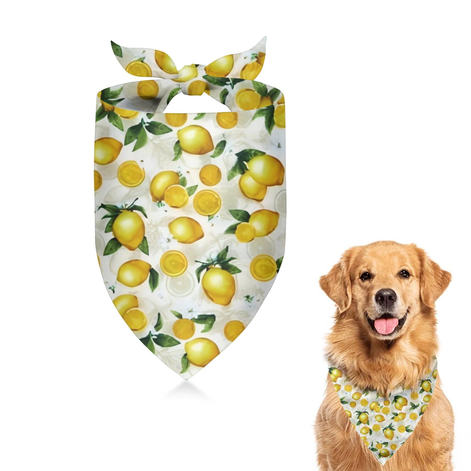 Dog Bandana 1 Pack,Yellow Lemon Fruit Leaves Beige Pattern Bandanas for ...