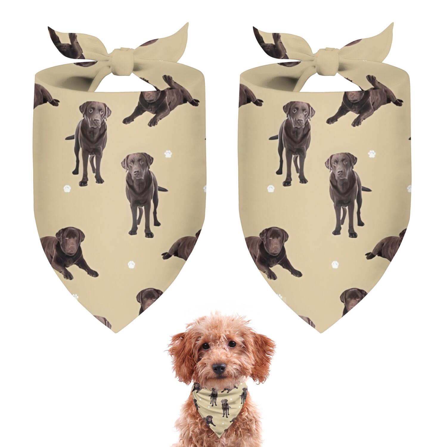 Dog Bandana 2 Pack,Cute Labrador Bandanas for Dogs,Cat Bandana,Small ...